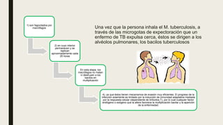 presentacion de tuberculosis pulmonar.pdf