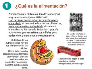 La Nutricion Y La Alimentacion | PPTX