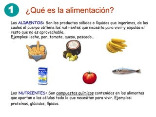 La Nutricion Y La Alimentacion | PPTX