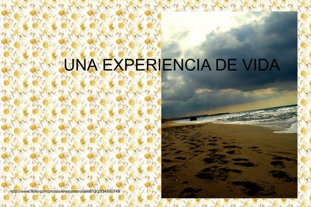 Presentacion diapositivas | ODP