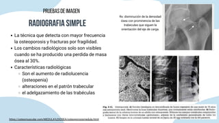 Presentación Diapositivas Anatomía Cuerpo Humano Ilustrativo Simple ...