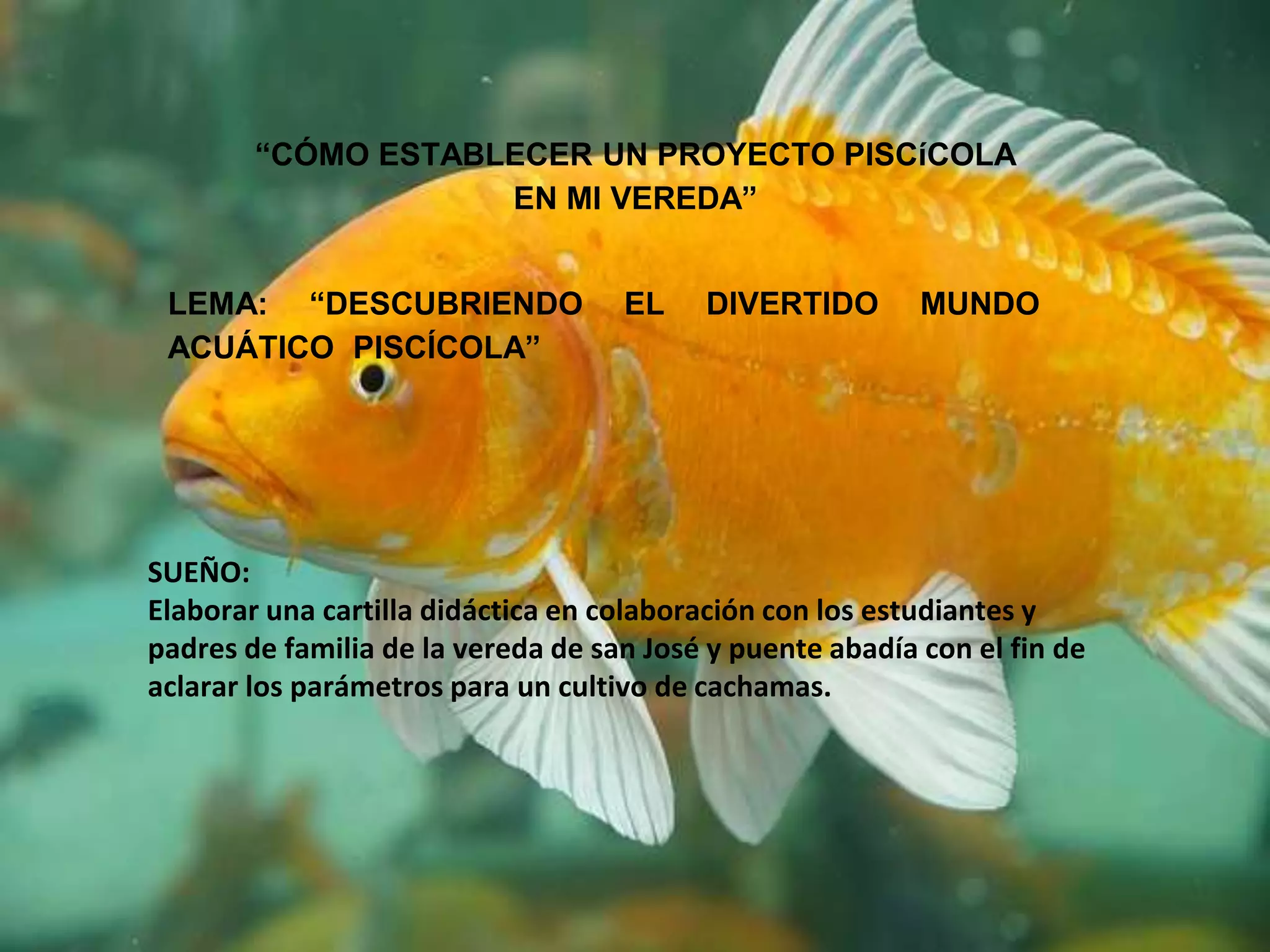 Presentación del proyecto Piscicola en la vereda San Jose | PPTX