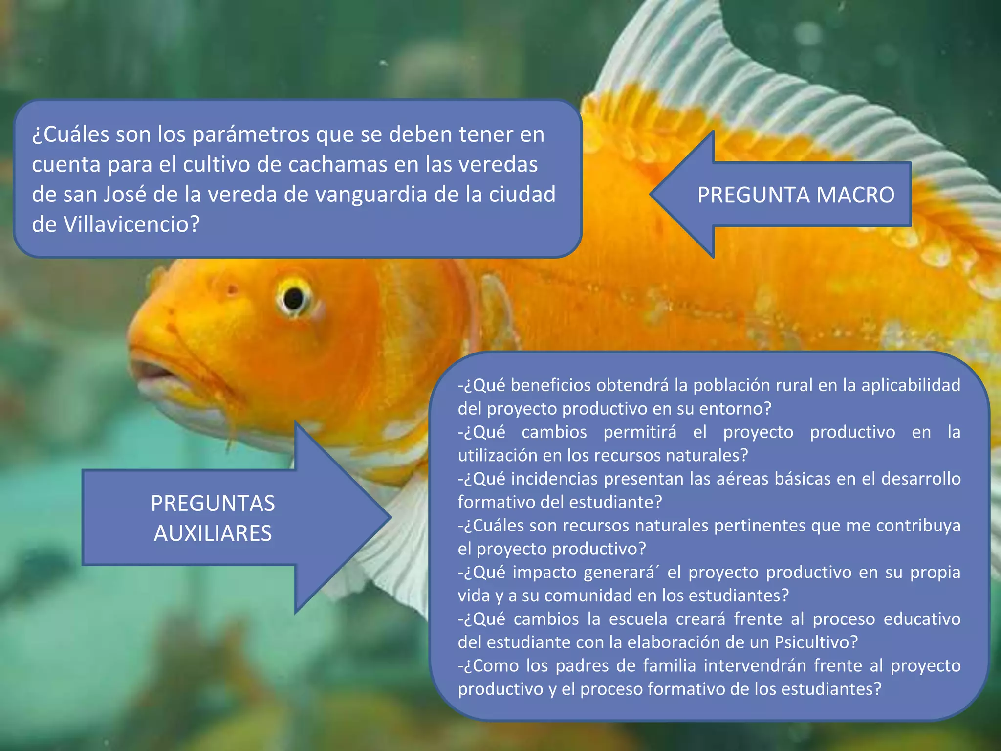 Presentación del proyecto Piscicola en la vereda San Jose | PPTX