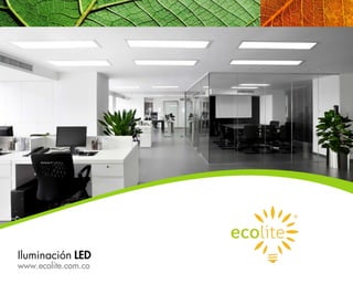 ecolite Iluminacion LED | PPTX