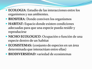 Presentacion ecologia | PPTX