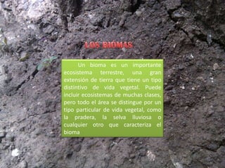 Presentacion ecosistema | PPT