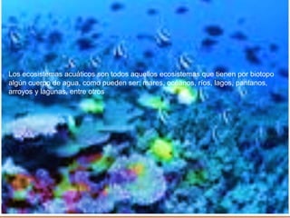 Presentacion ecosistemas | PPTX