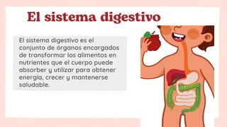 Sistema digestivo y excretor. Partes y función | PDF