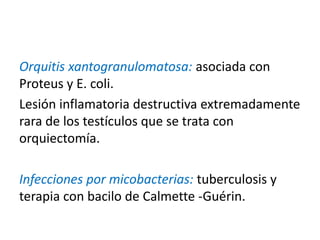 ORQUIEPIDIDIMITIS, TORCION TESTICULAR Y CA TESTICULAR | PPTX