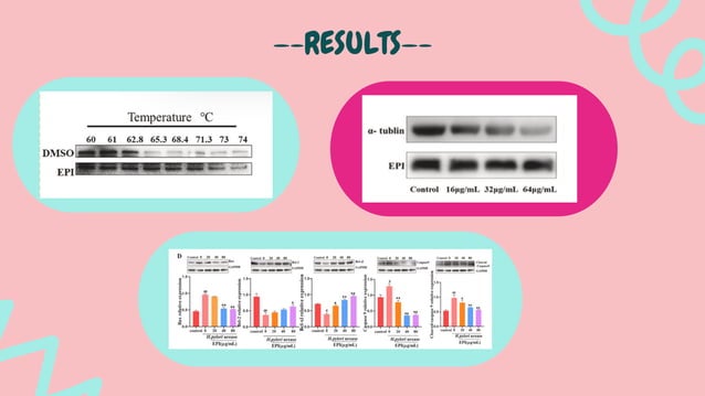 Seminario Biología Molecular Sharon Tapia | PPT