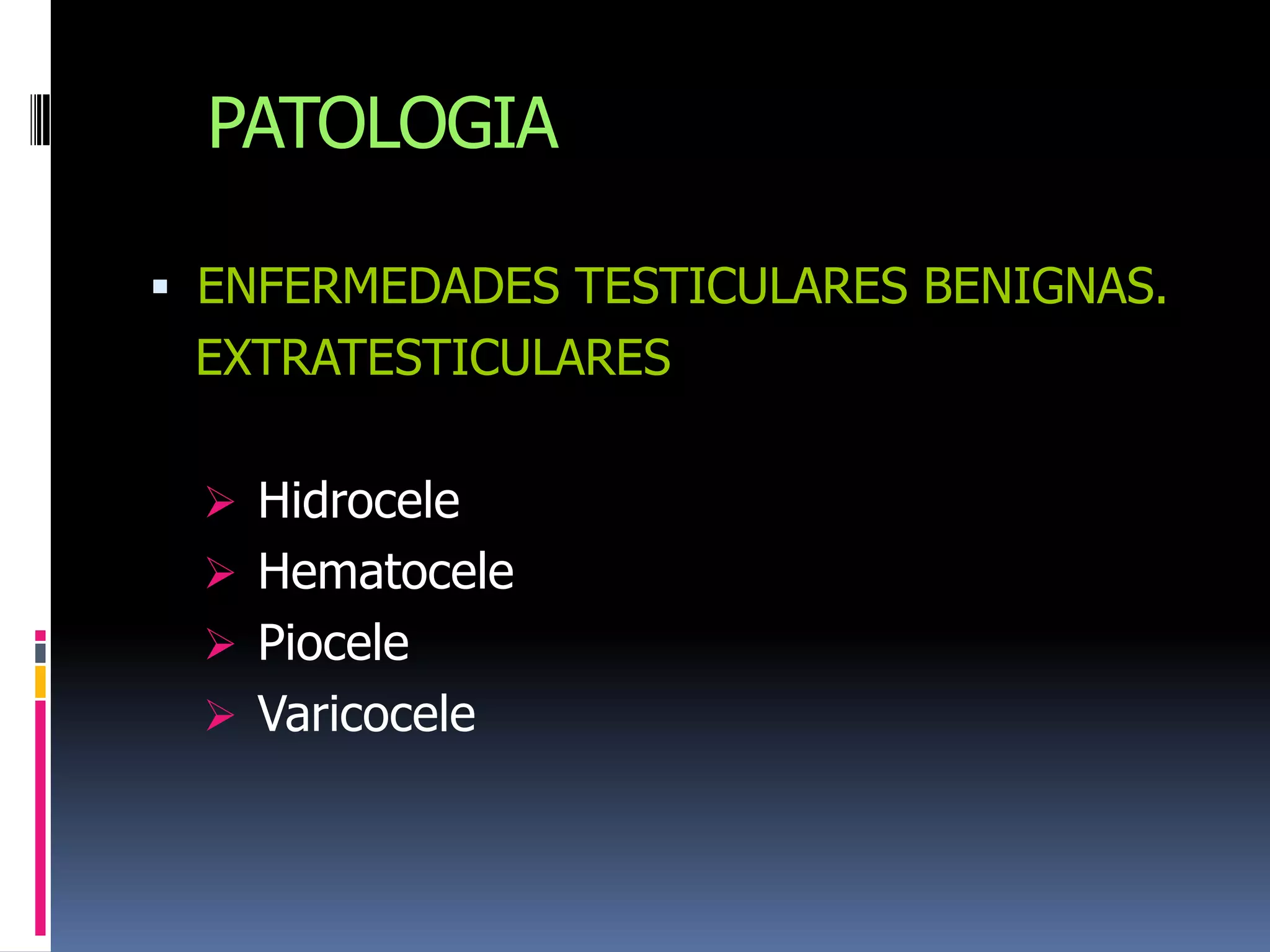 Ecografia escroto y testiculo | PDF