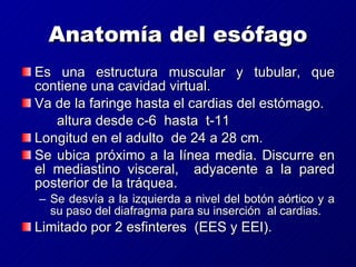 Presentacion esofagograma definitiva (2) | PPT