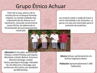 Presentacion etnias del ecuador | PPTX