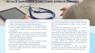 lobectomia | PDF