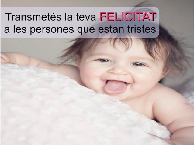 Presentacion; felicitat | ODP