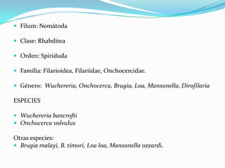 Presentacion filariasis | PPTX