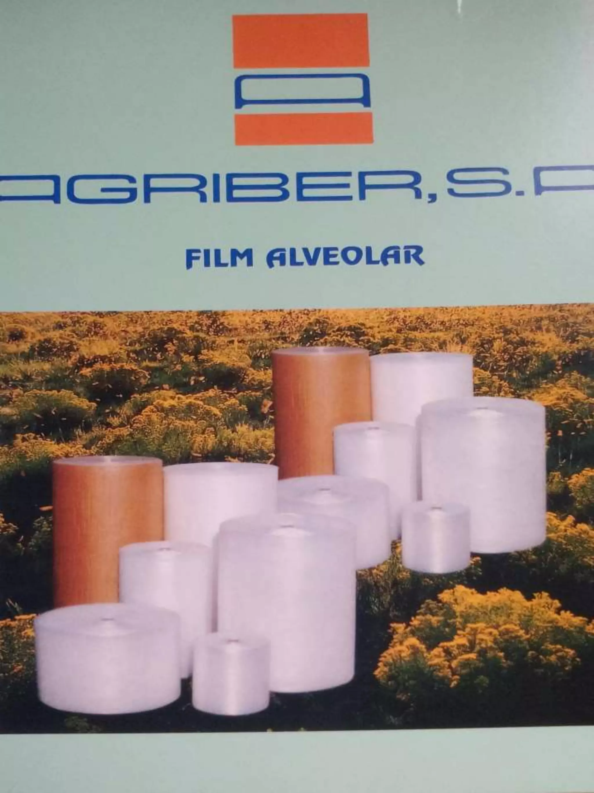 Presentacion film alveolar | PDF