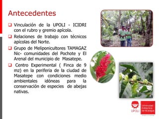 presentacion final.pptx
