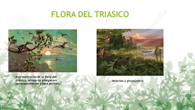 TRIASICO - JURÁSICO