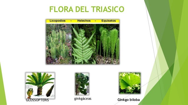 TRIASICO - JURÁSICO