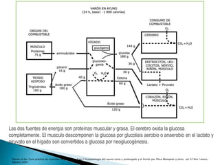 Presentacion fisopatologia del ayuno1 | PPTX