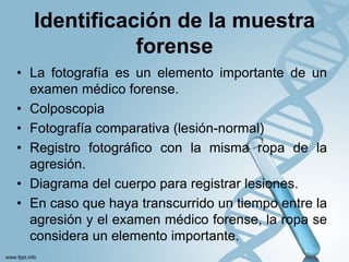 presentacion forense.ppt