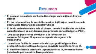 PRESENTACIÓN HEMO.pptx