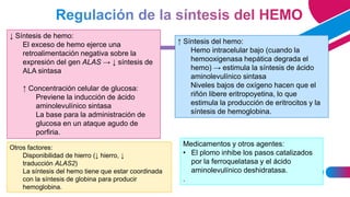 PRESENTACIÓN HEMO.pptx