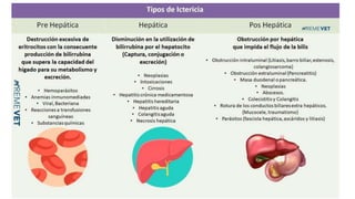 PRESENTACIÓN HEMO.pptx