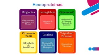 PRESENTACIÓN HEMO.pptx