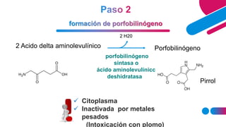 PRESENTACIÓN HEMO.pptx