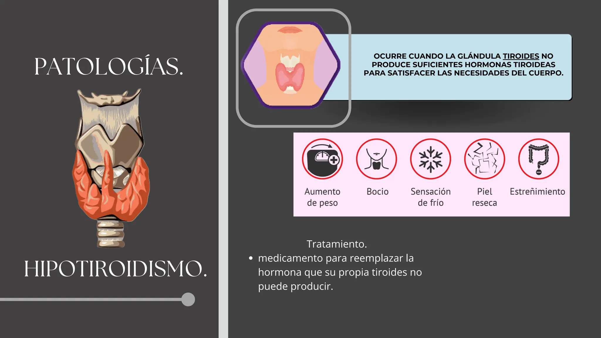histologia de glandulas tiroides con anatomia | PPT
