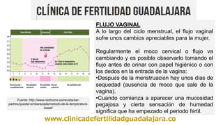 Presentacion identifica tus dias fertiles | PPTX