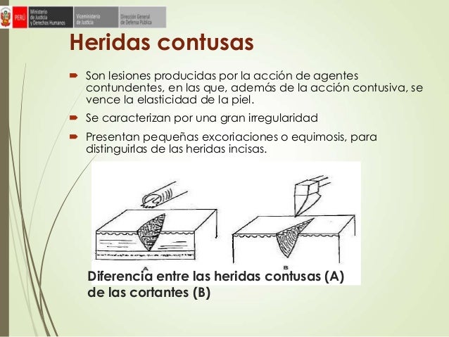 LESIONOLOGIA