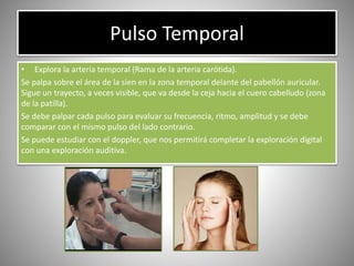 importancia del pulso en la dosificación del trabajo físico | PPTX