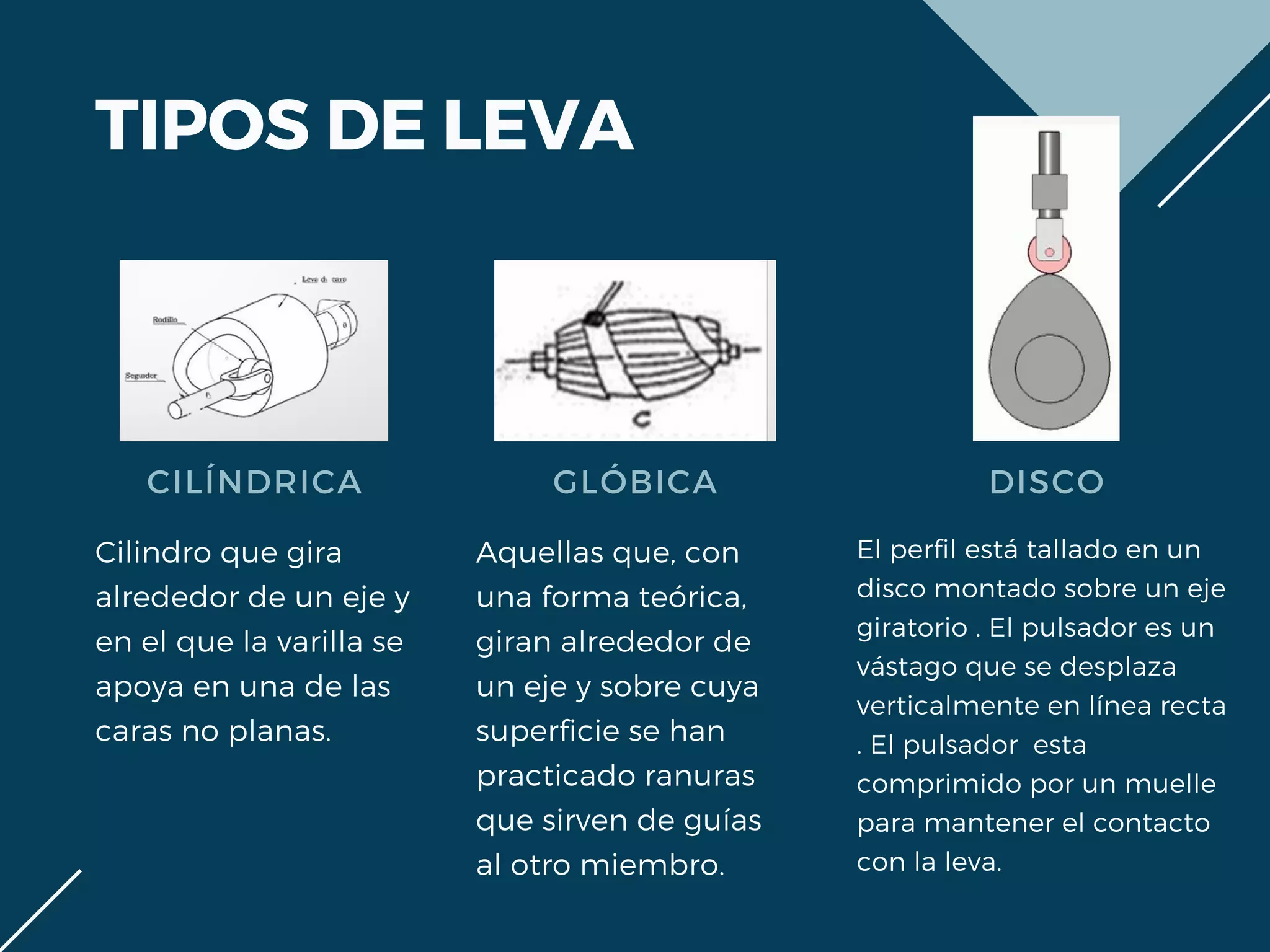 EJERCICIO DE ANÁLISIS DE PERFIL DE UNA LEVA | PDF
