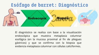 Esófago de barret y cancer esofagico Nutrición | PDF