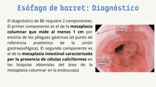 Esófago de barret y cancer esofagico Nutrición | PDF