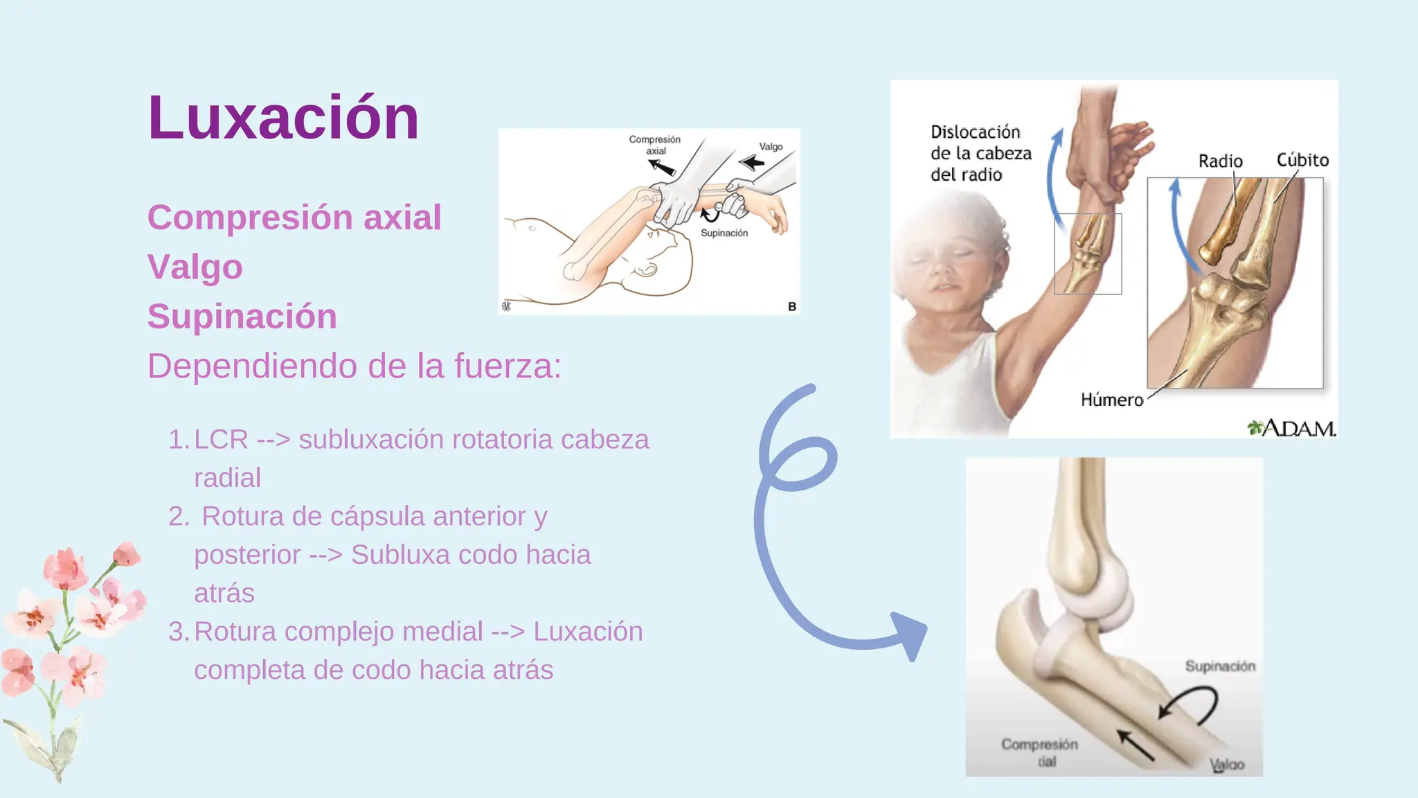 Presentación Triada terrible de codo. HGR2 | PDF