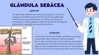 presentacion medicina y salud ilustrativo infantil celeste.pptx
