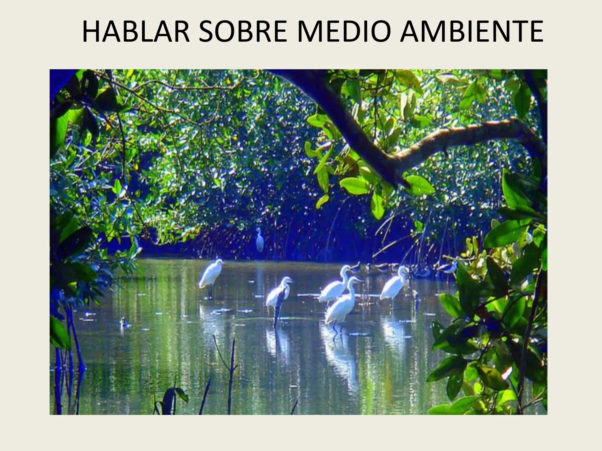 PRESENTACION MEDIO AMBIENTE Y SUS COMPONENTES.pptx