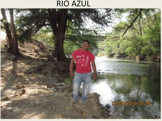 PRESENTACION MEDIO AMBIENTE Y SUS COMPONENTES.pptx
