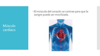 tejidos musculares | PPT