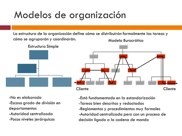 Presentacion modelo mecanicista y orgánico | PDF