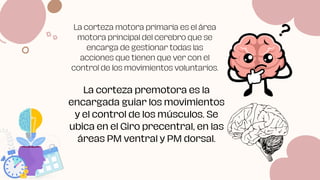 Control de movimientos en la carrera de psicología | PDF