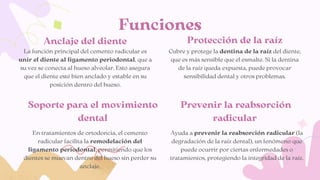 CEMENTO RADICULAR EN ODONTOLOGIA E HISTOLOGIA | PDF
