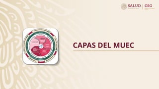 PRESENTACION MODELO UNICO DE EVALUACION DE LA CALIDAD | PPT