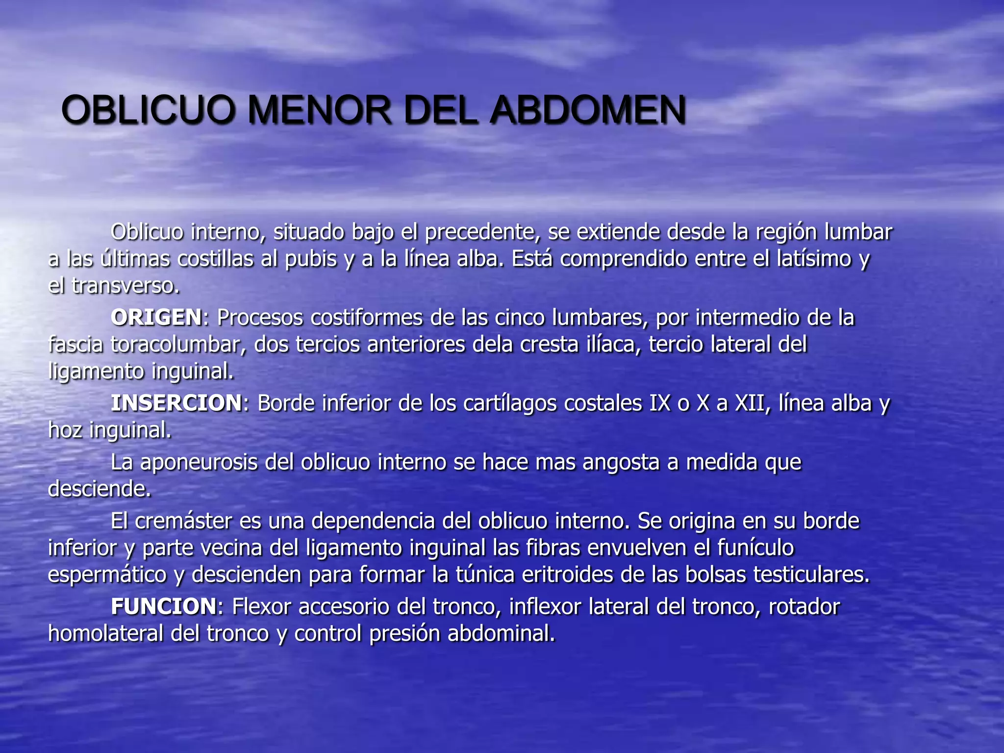Presentacion musculos de la region anterolateral del abdomen | PPTX