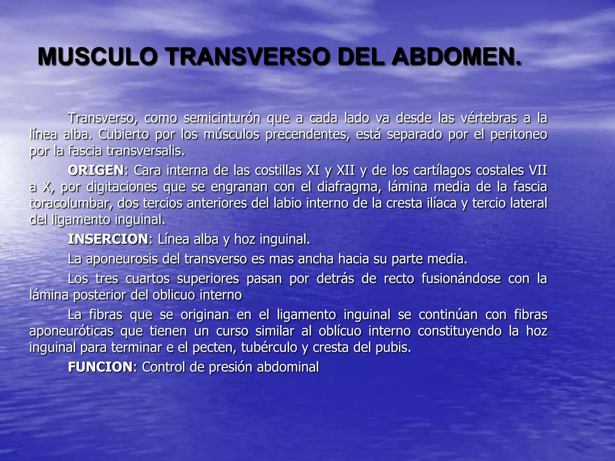 Presentacion musculos de la region anterolateral del abdomen | PPTX