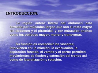 Presentacion musculos de la region anterolateral del abdomen | PPTX